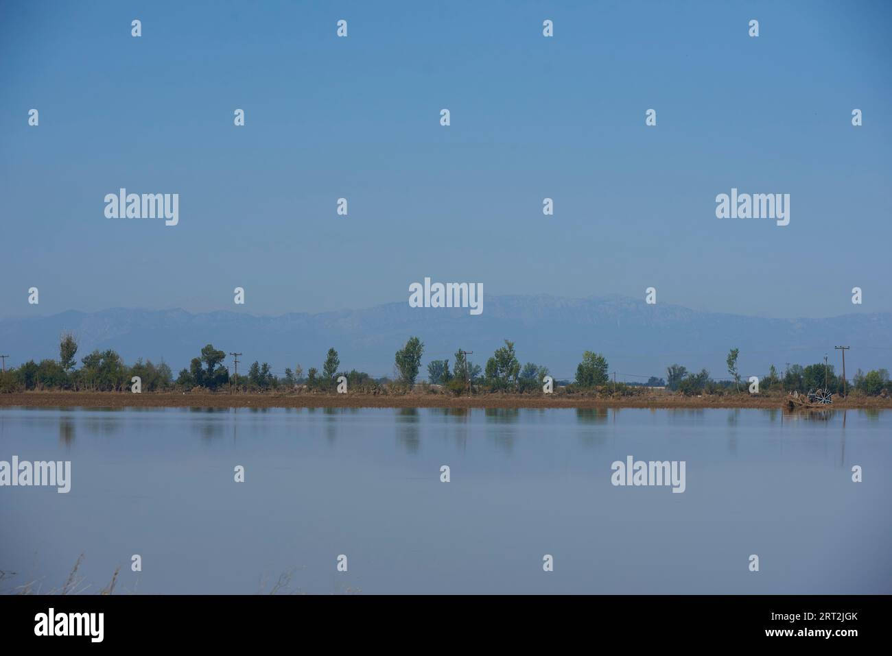 Drowned pigs hi-res stock photography and images - Alamy