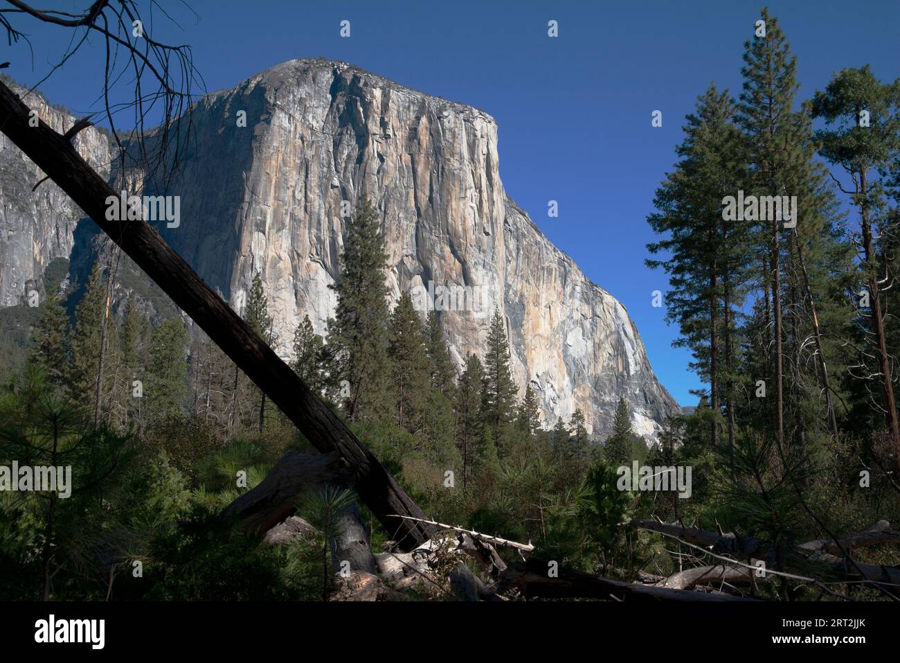El Capitan, Yosemite, California, USA, 2022. The gigantic granite ...
