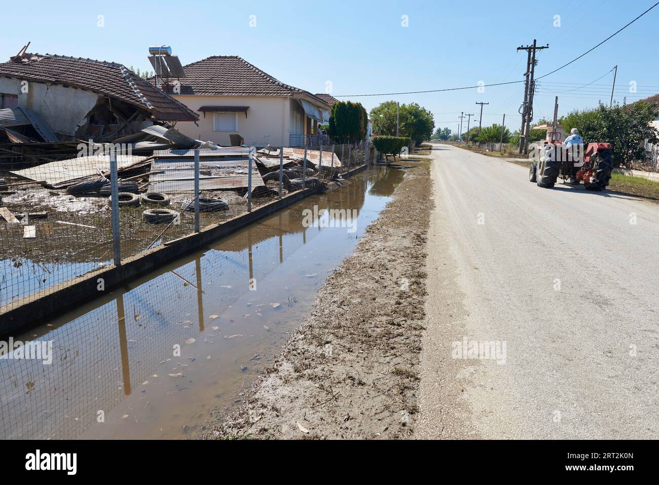 Drowned pigs hi-res stock photography and images - Alamy