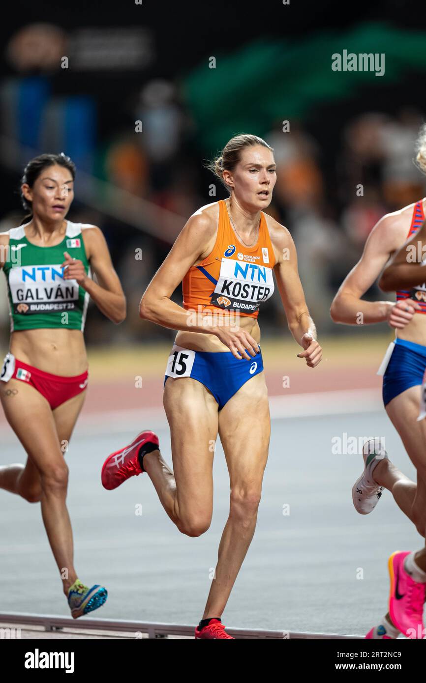 Maureen Koster participating in the 5000 meters relay at the World ...