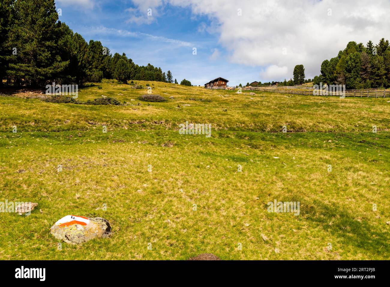 Almwiese mit Huette und Wegmarkierung in Suedtirol, Italy, alm meadow ...