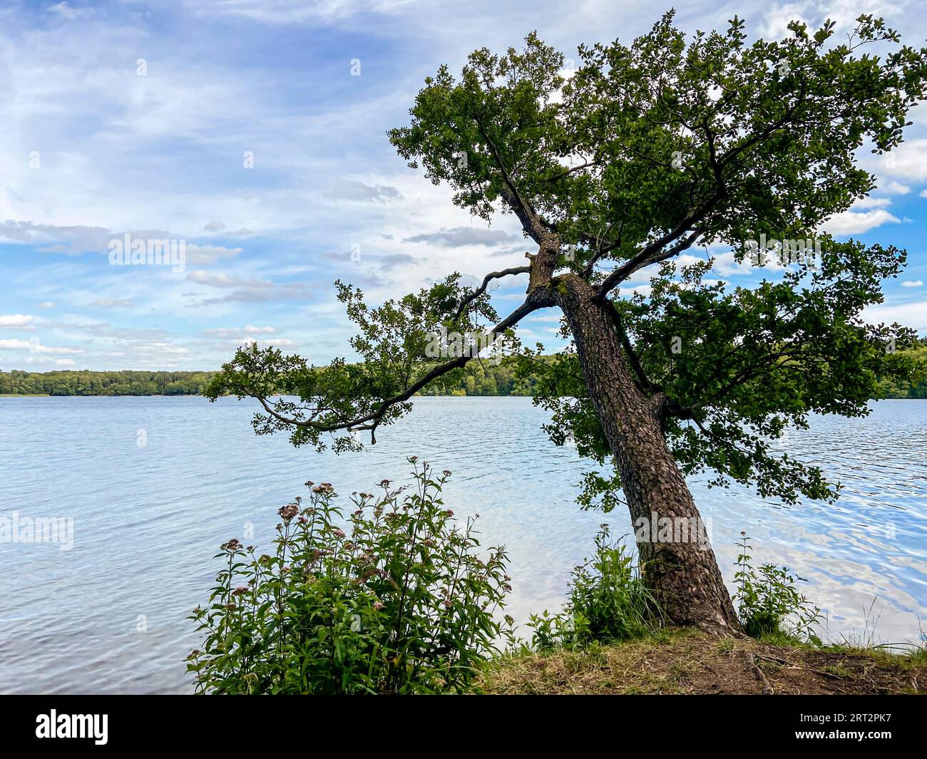 Stechlin lake hi-res stock photography and images - Alamy