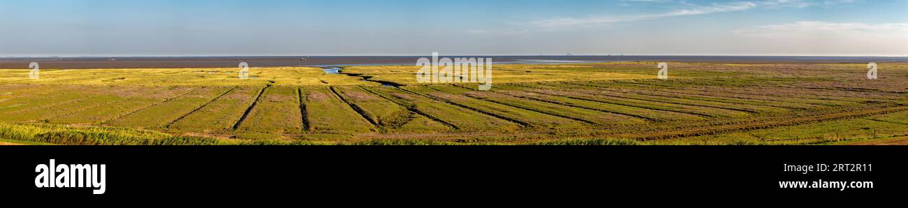 Panorama of the salt marshes on the East Frisian North Sea island of ...