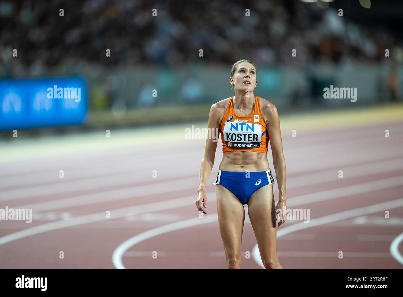 Maureen Koster participating in the 5000 meters relay at the World ...
