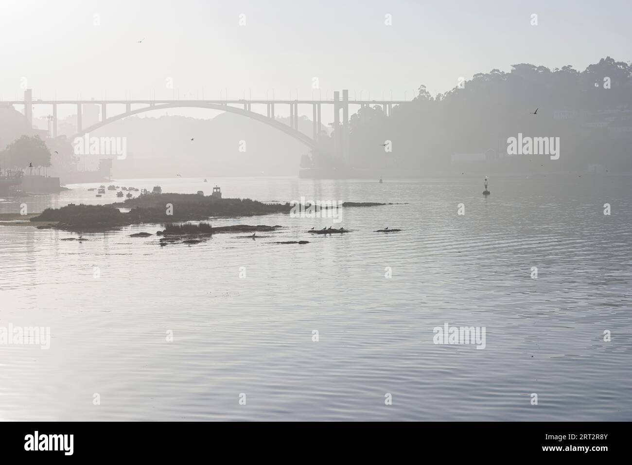 Iconic Arrabida bridge over Douro river, Porti, in a foggy morning ...