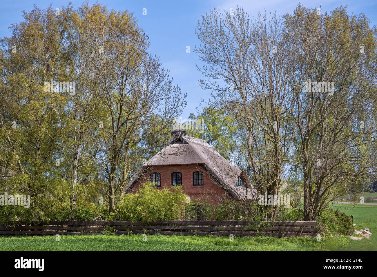 Alt Reddevitz is the oldest terraced house settlement in Moenchgut on ...