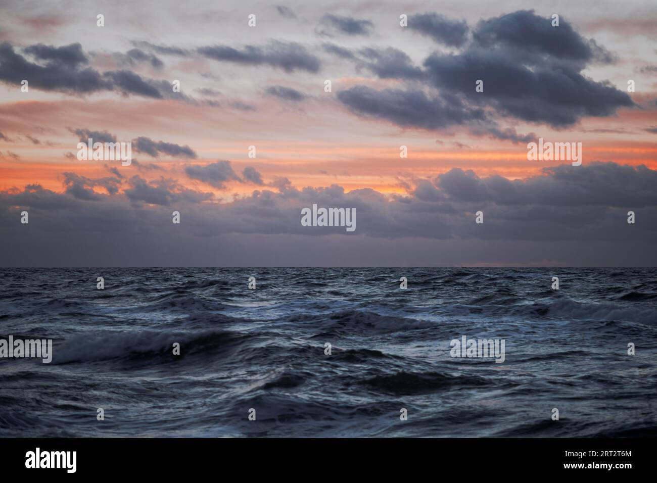 The Darsser Weststrand is located on the west coast of the Fischland ...