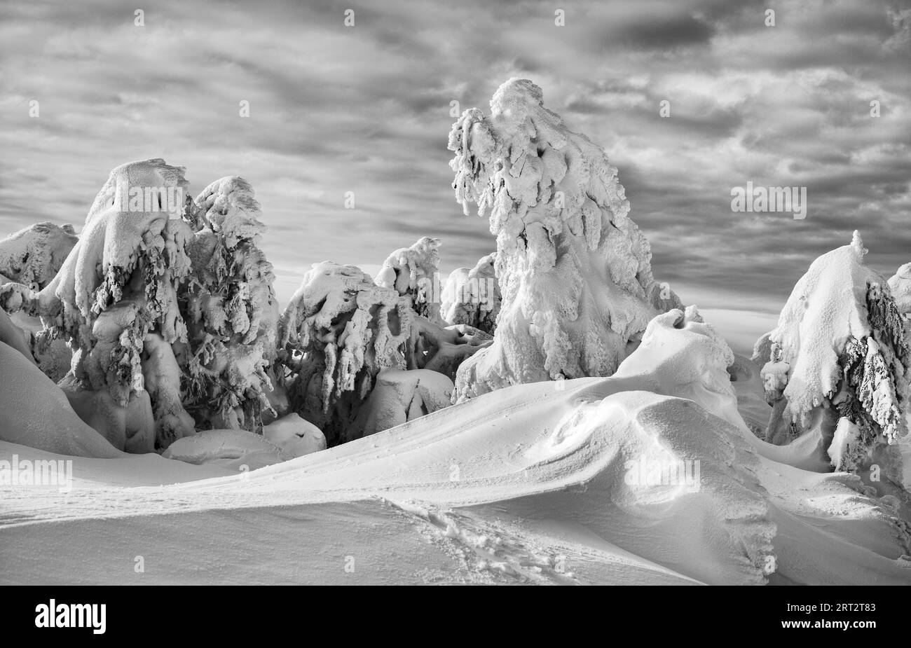 Ore mountains landscape in Black and White Stock Photos & Images - Alamy