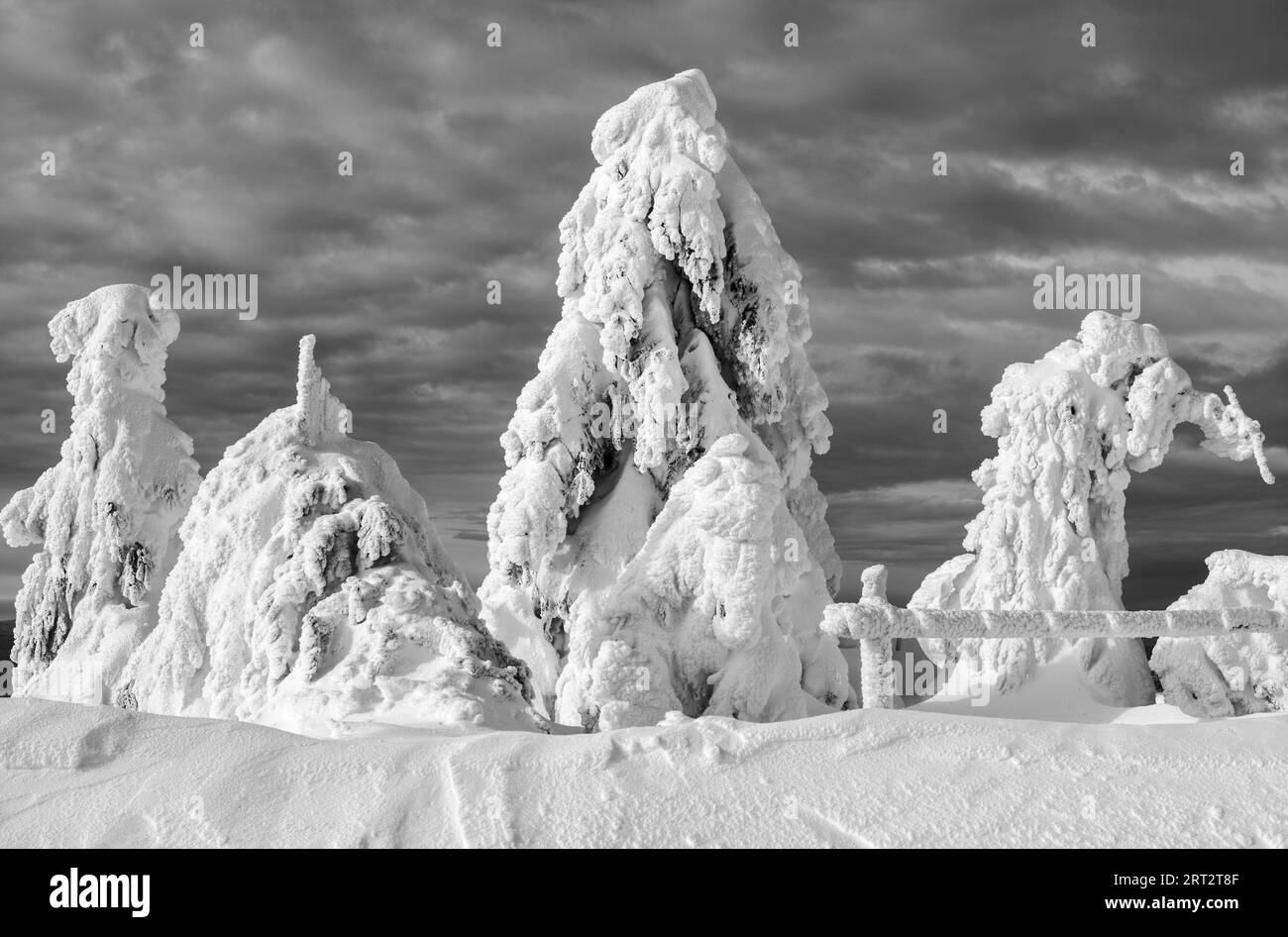 Frozen snow covered landscape Black and White Stock Photos & Images - Alamy