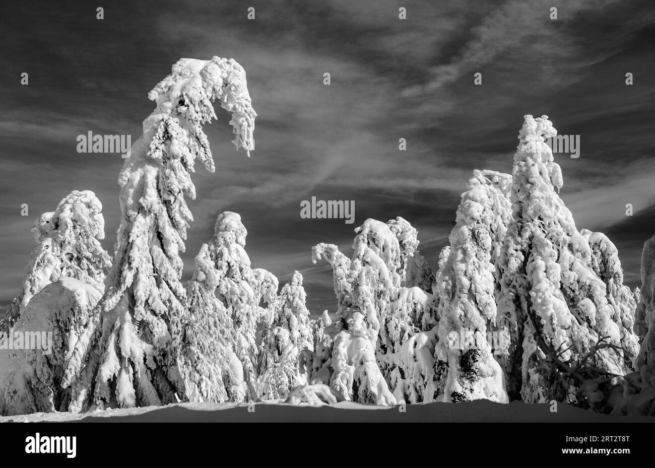Winter landscape snow covered mountains Black and White Stock Photos ...
