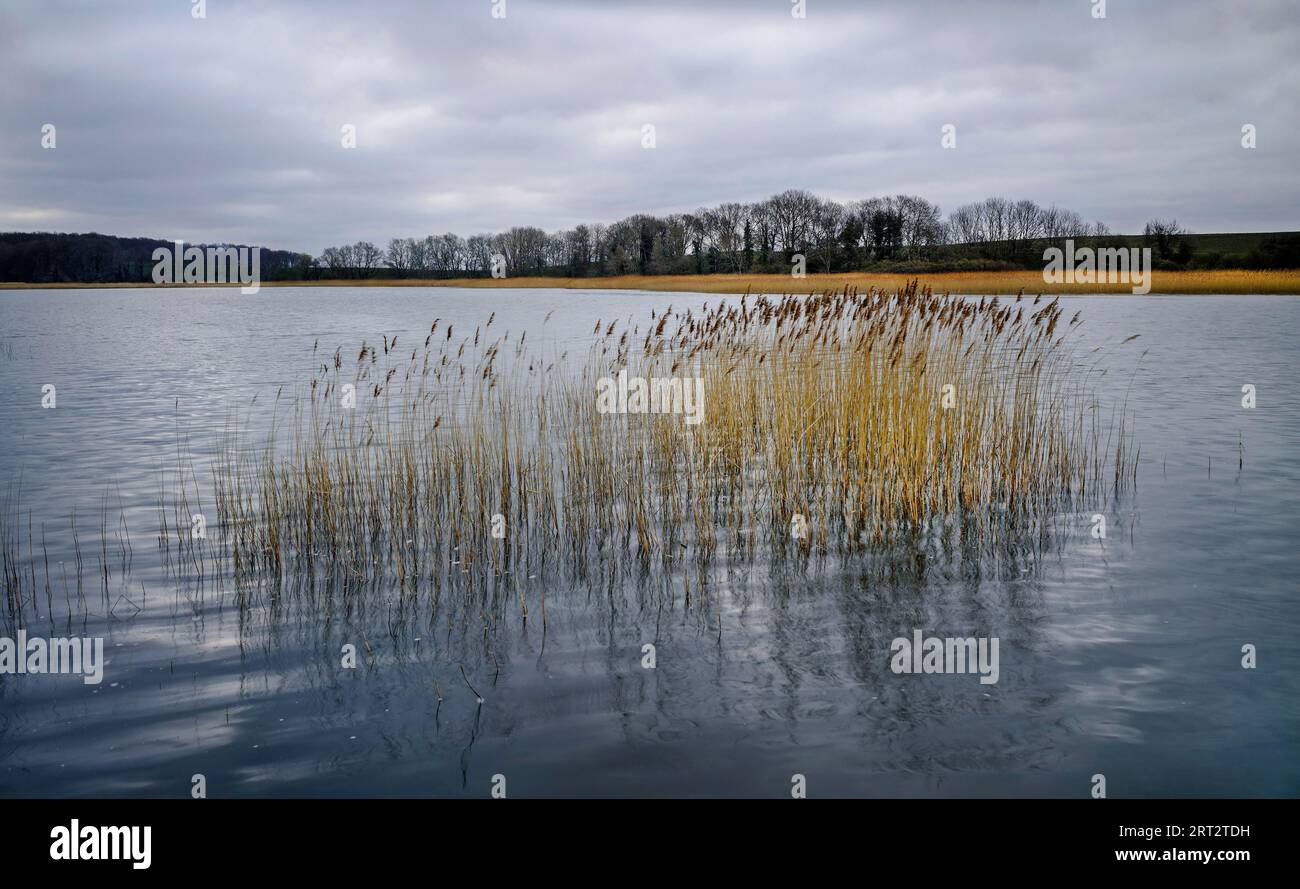 Pre pomeranian bodden landscape hi-res stock photography and images - Alamy