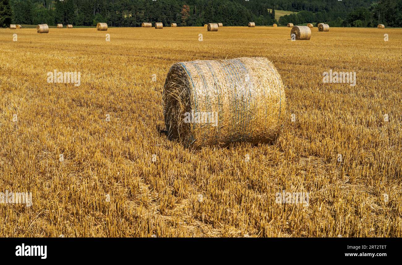 Bale of corn hi-res stock photography and images - Alamy