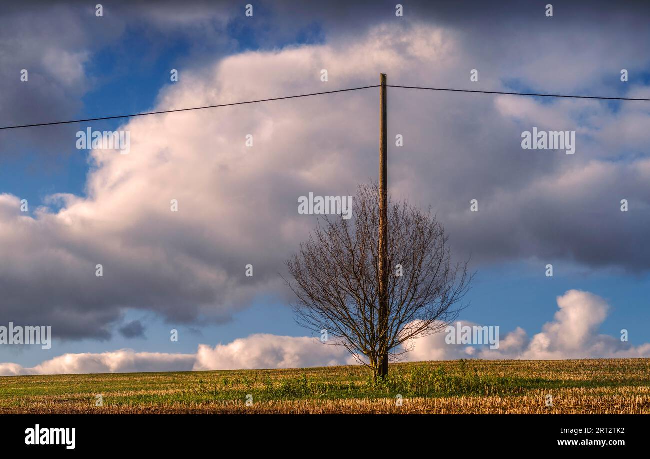 December, The utility pole Stock Photo - Alamy