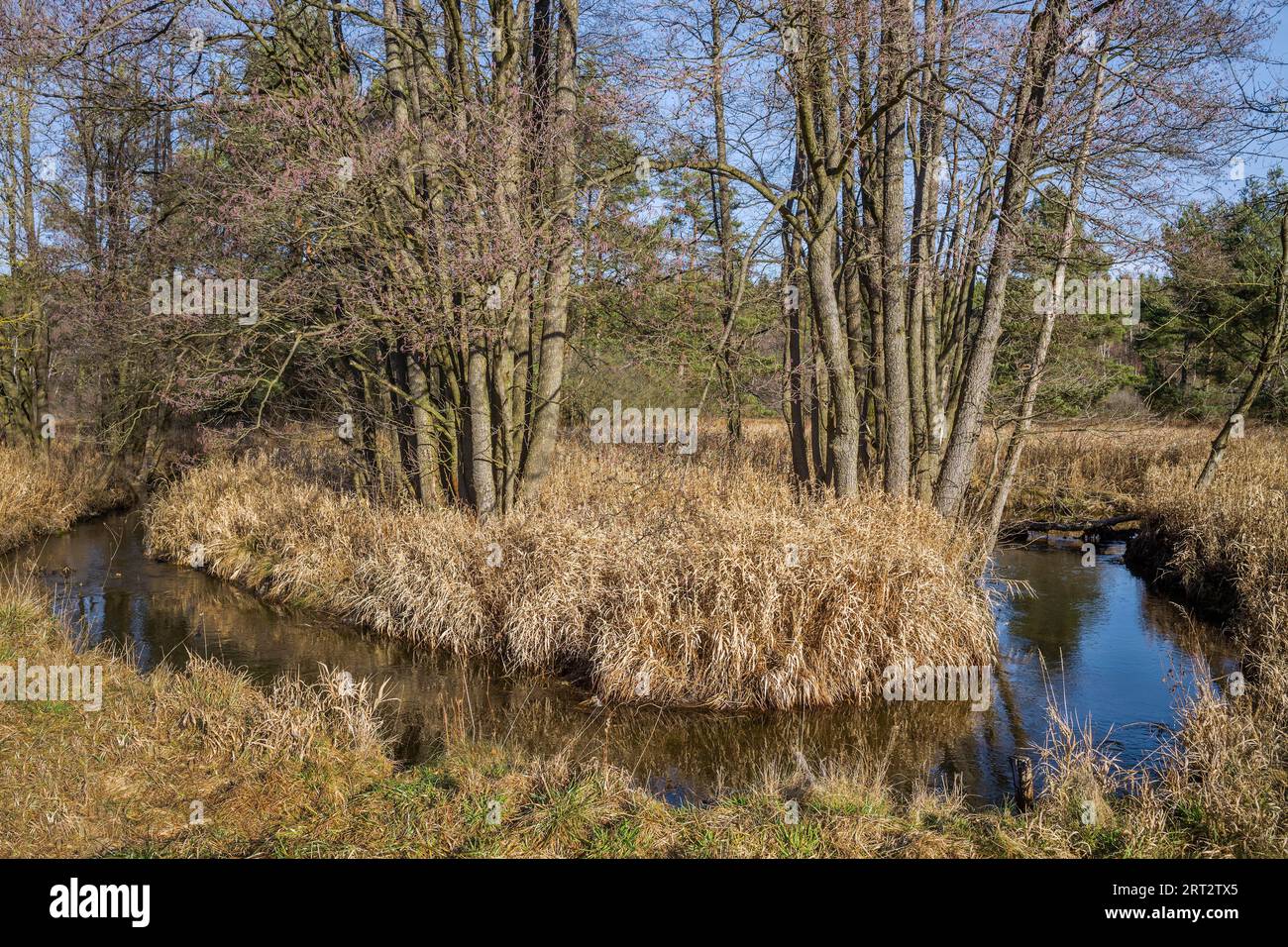 The Southern Regnitz or Upper Regnitz is a right tributary of the Saxon ...