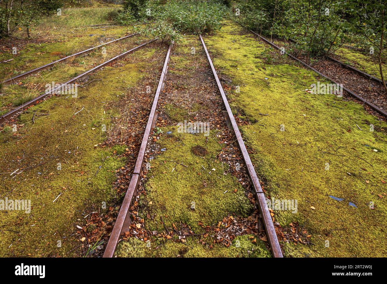 The old tracks of a mining railway Stock Photo - Alamy