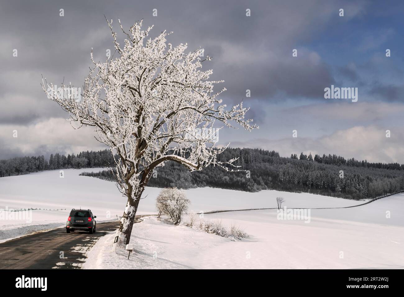 The Thuringian Slate Mountains, also known as the Thuringian Slate ...