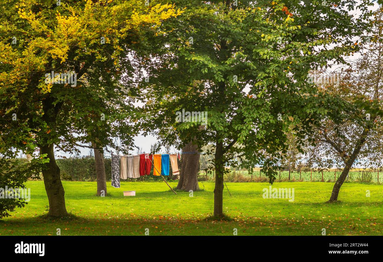 Laundry under the trees Stock Photo - Alamy