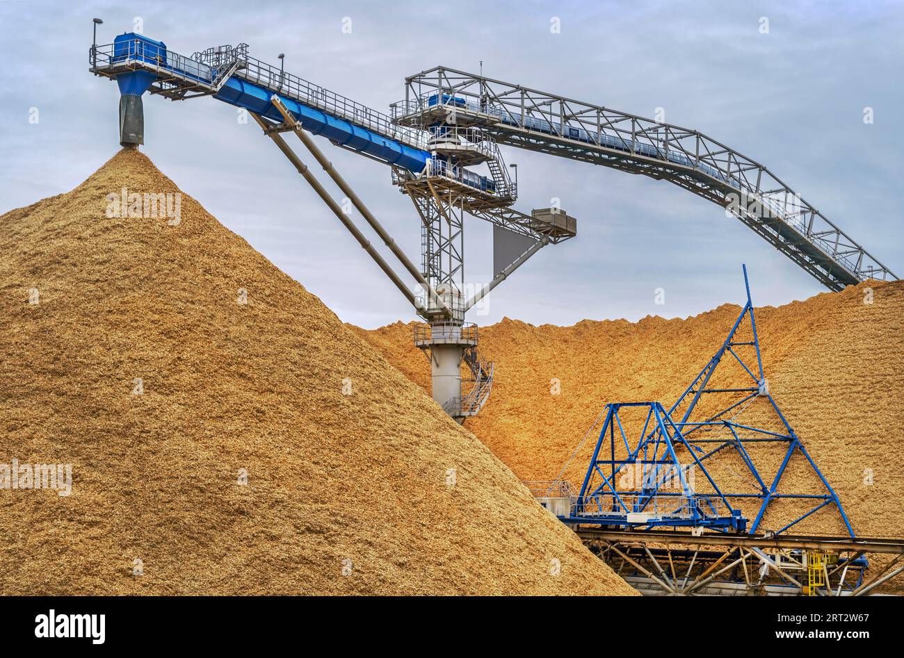 Stockpiles of wood chips for the paper mill Stock Photo - Alamy