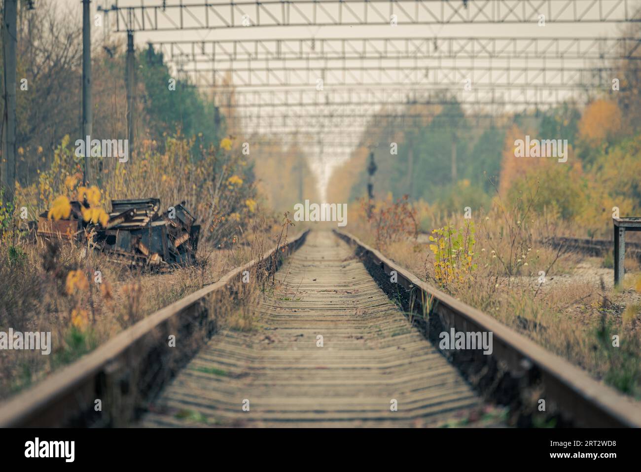 Empty abandoned train tracks leading into the distant vanishing point ...