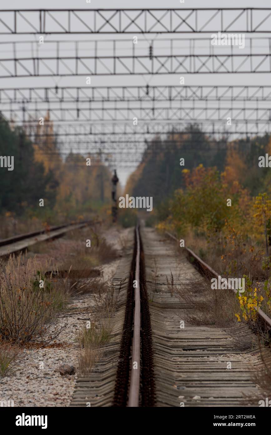 Empty abandoned train tracks leading into the distant vanishing point ...