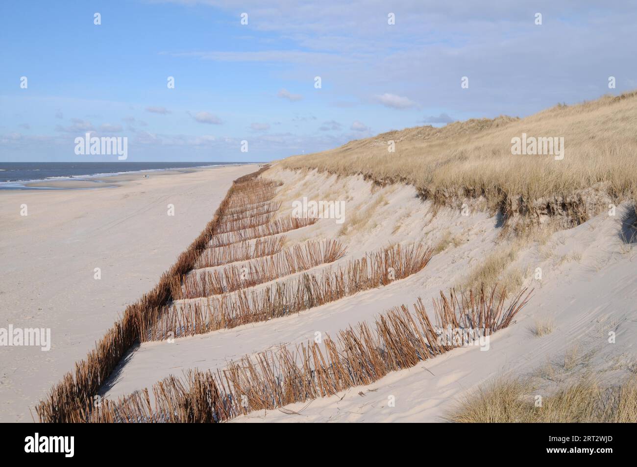 Coastal protection on the North Sea Stock Photo - Alamy
