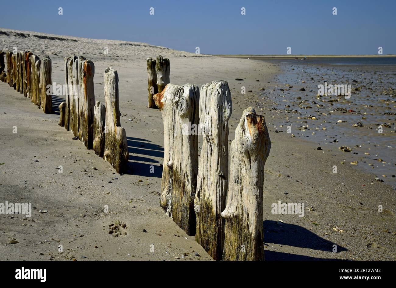 Groyne on the North Sea Stock Photo - Alamy