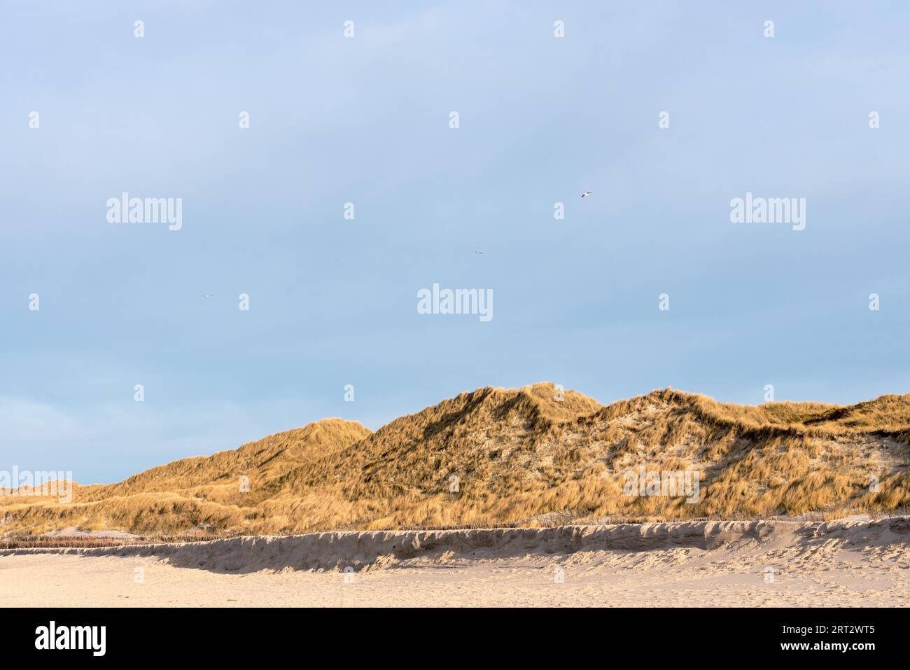 Chain of dunes hi-res stock photography and images - Alamy