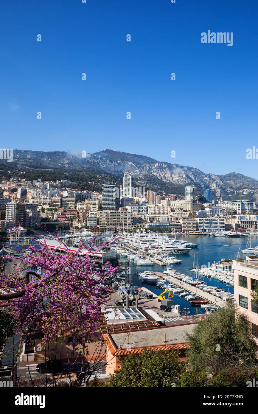 Spring in Monaco principality, cityscape with Monte Carlo and Port ...