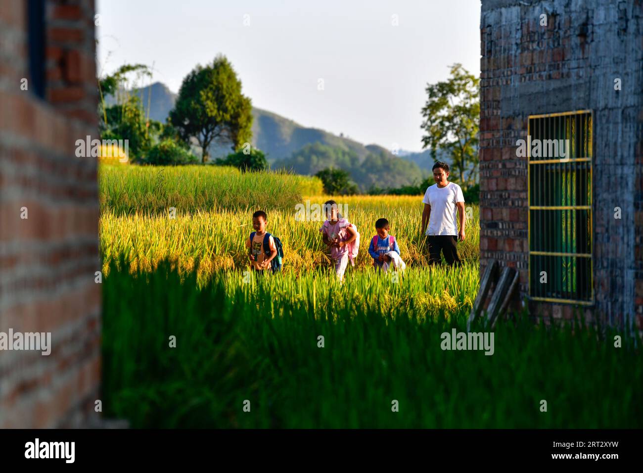 Micro 10 6 hi-res stock photography and images - Alamy