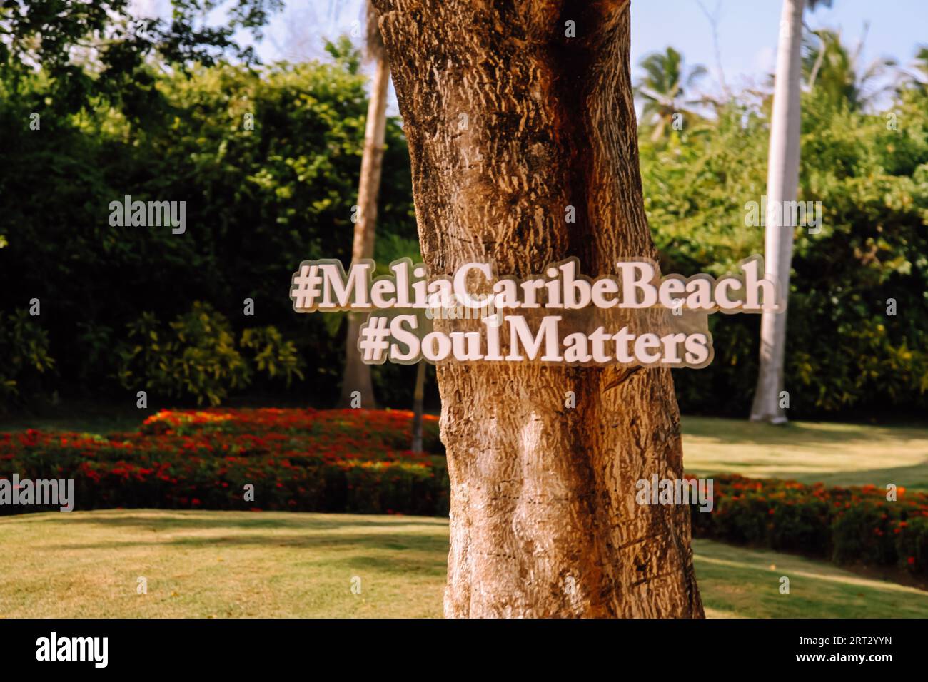 Melia caribe beach resort hi-res stock photography and images - Alamy