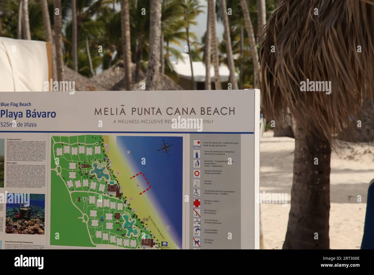 Playa Bavaro beach at Melia Caribe Beach Resort in Caribbean, Dominican ...