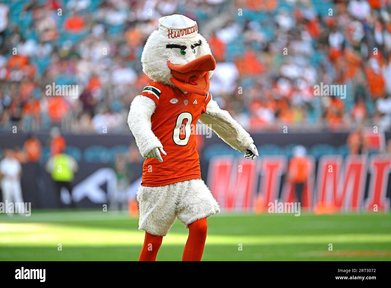 MIAMI GARDENS, FL - SEPTEMBER 09: Miami's mascot, Sebastian the Ibis ...