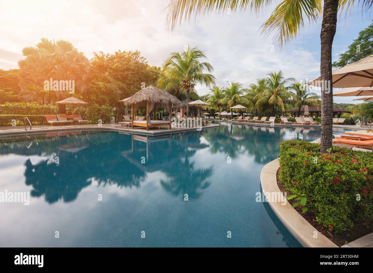 Big pool with gazebo and chairson palm trees on bright sunny day Stock ...