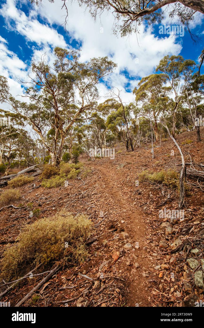 The popular tourist landmark of Werribee Gorge. This is the Centenary ...