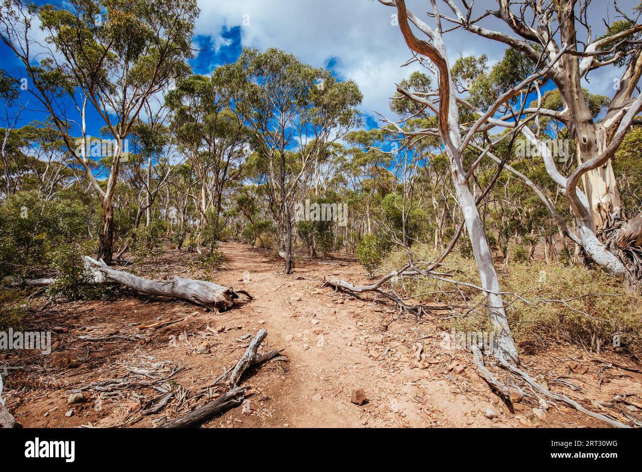The popular tourist landmark of Werribee Gorge. This is the Centenary ...