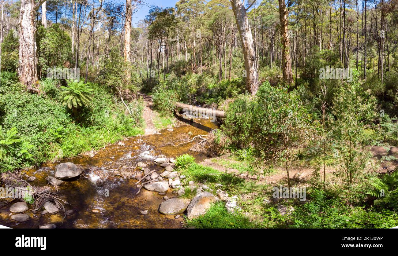 Delatite River Trail on a hot summer's day at Mt Buller near Mirimbah ...
