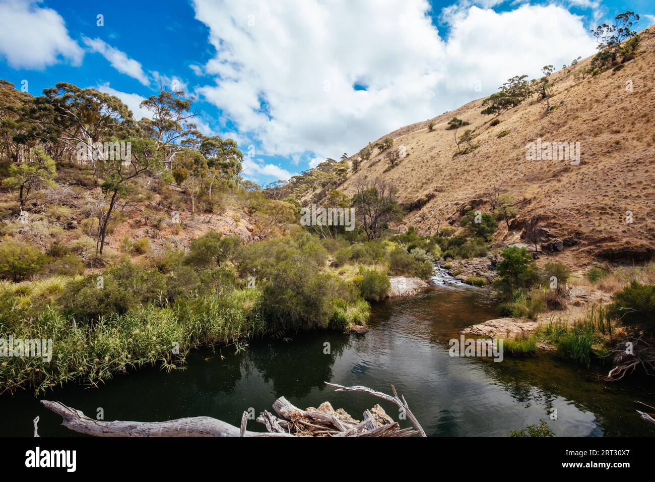 The popular tourist landmark of Werribee Gorge. This is the Centenary ...