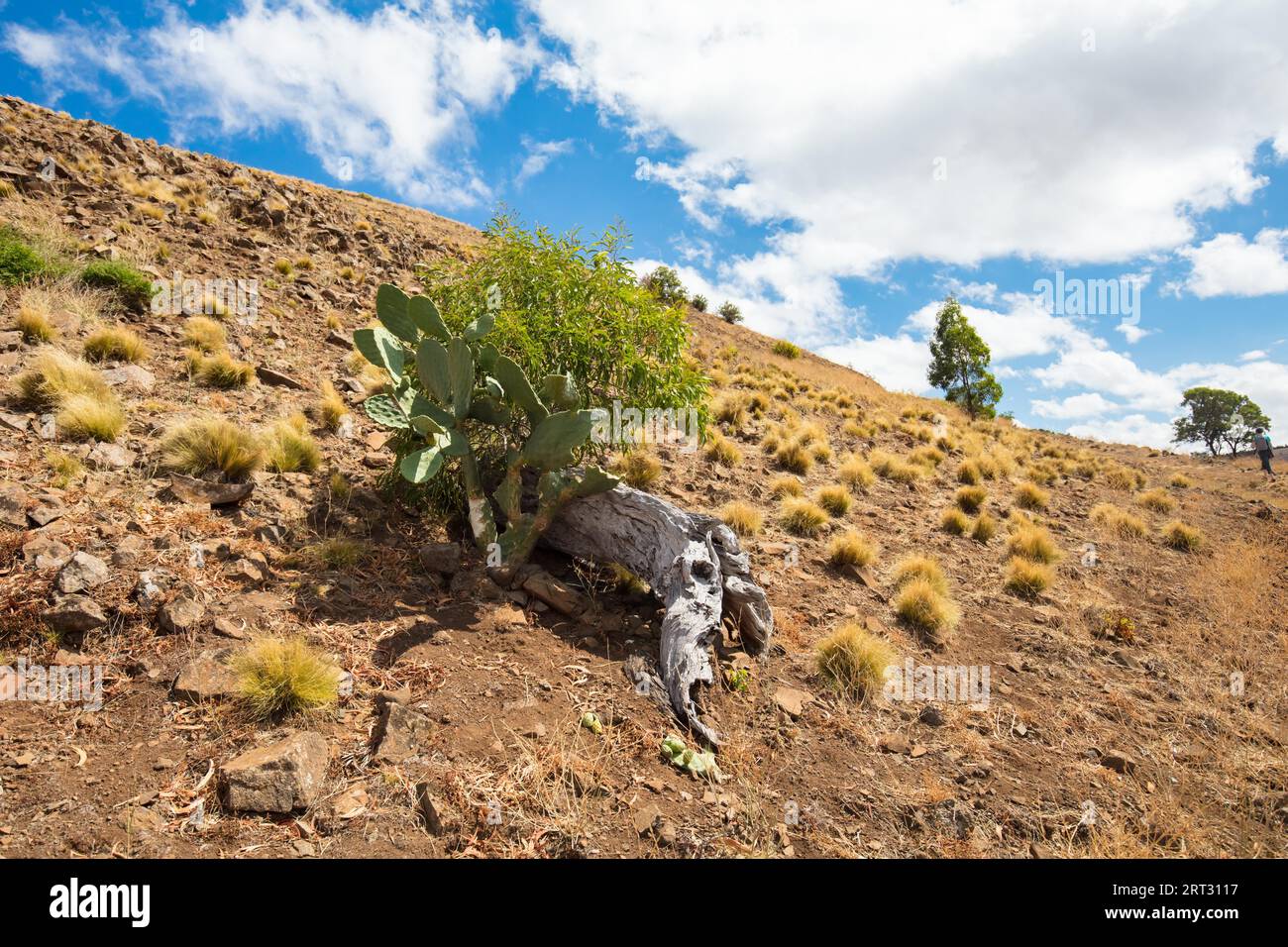 The popular tourist landmark of Werribee Gorge. This is the Centenary ...