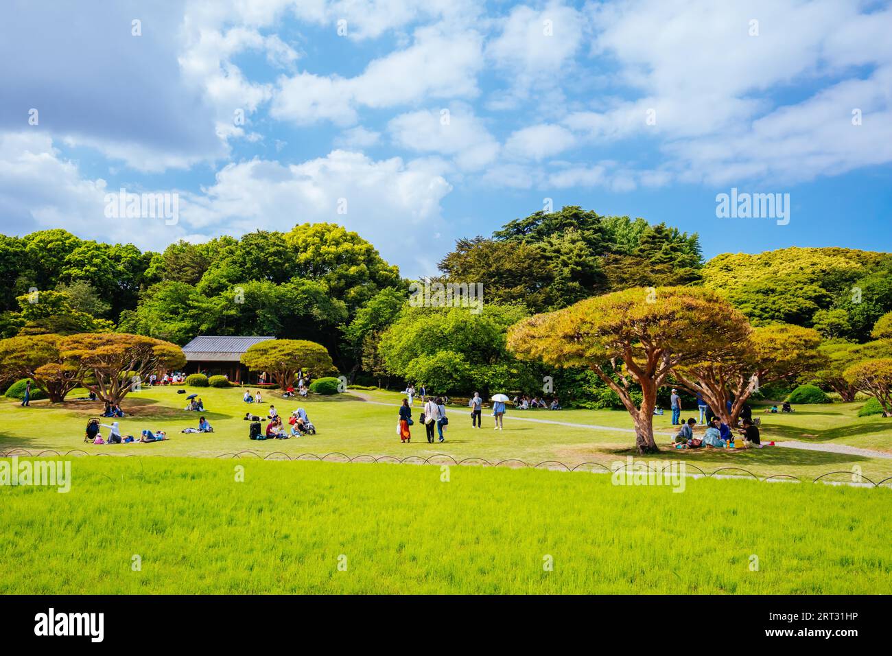 Gyo en park japan hi-res stock photography and images - Alamy