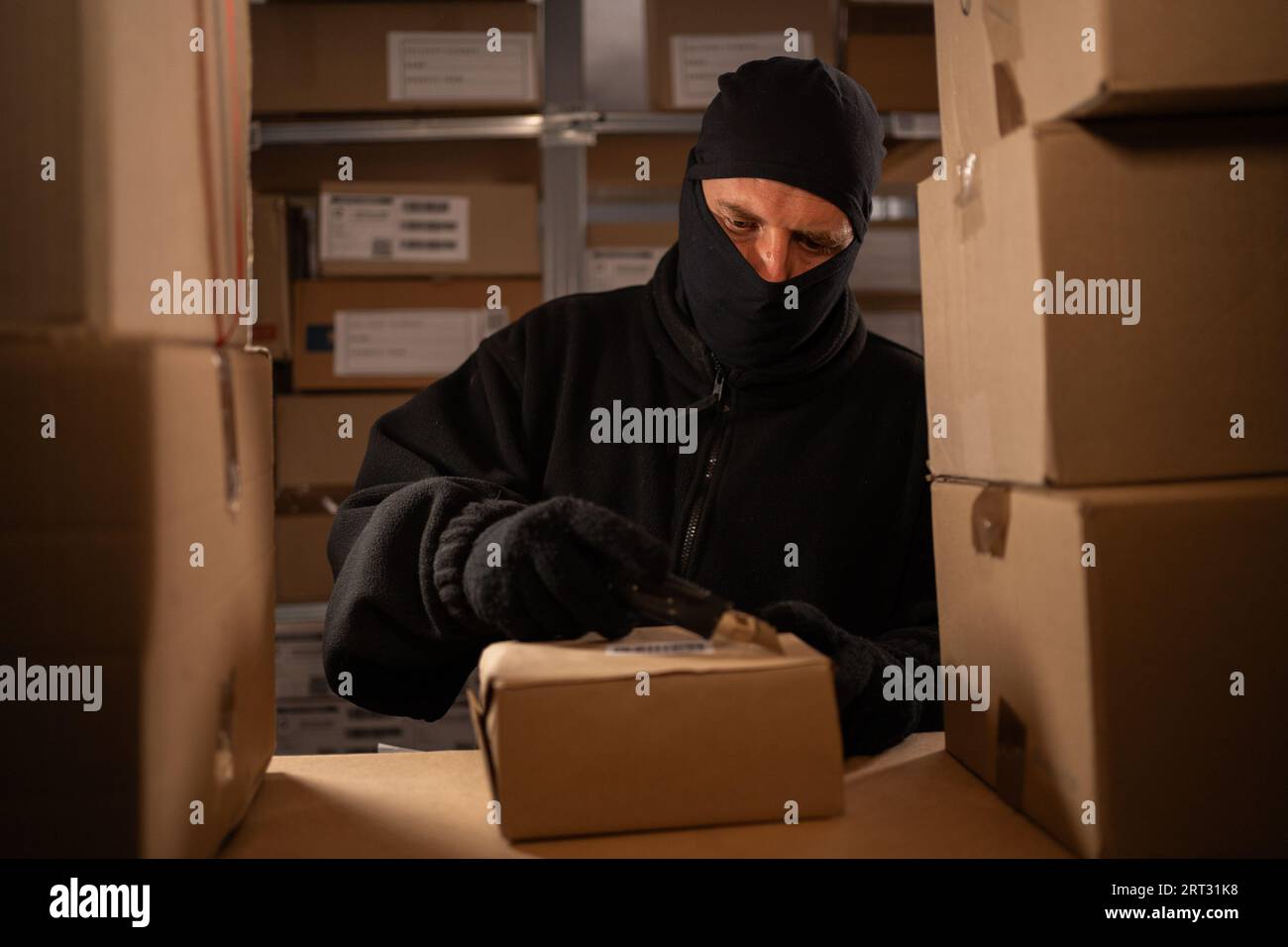Male thief stealing parcels and damaging the packaging of goods in the ...
