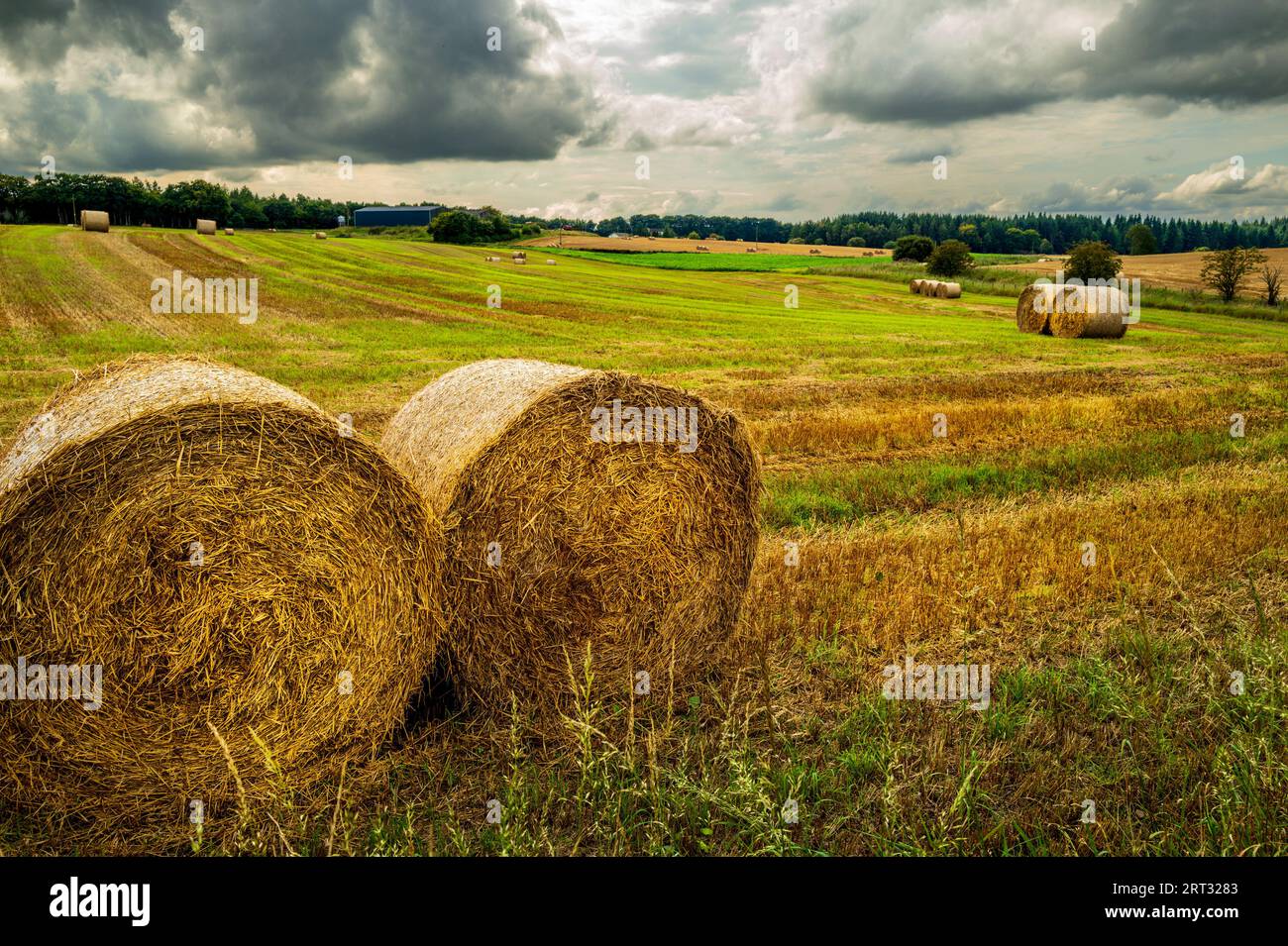 Harvest straw hi-res stock photography and images - Alamy