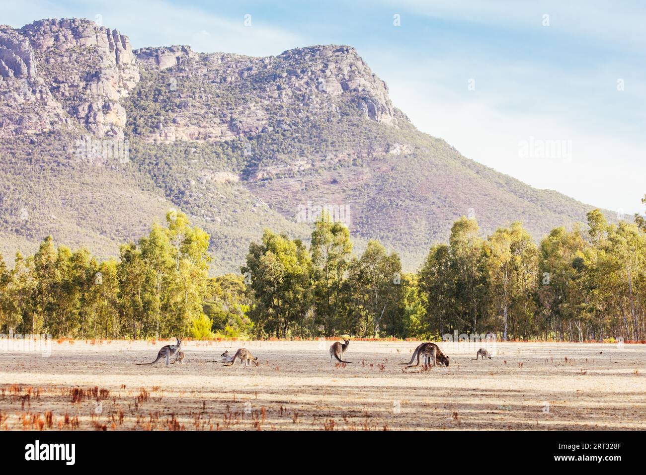 Grampian range australia hi-res stock photography and images - Alamy