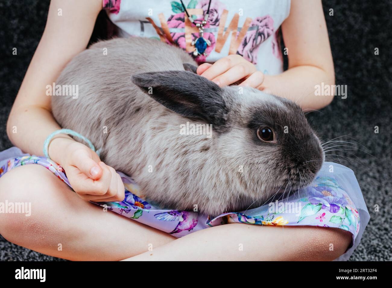 Big rabbit girl hi-res stock photography and images - Alamy