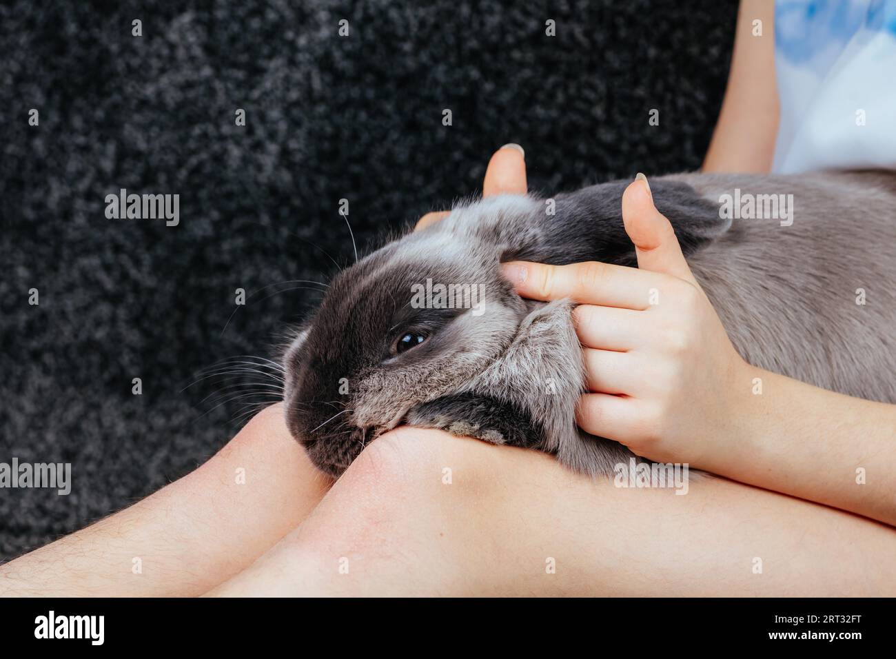 Girl held at hi-res stock photography and images - Alamy