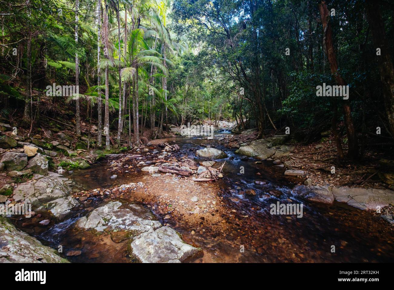 The popular Cougal Cascades Walk in Currumbin near the Gold Coast in ...