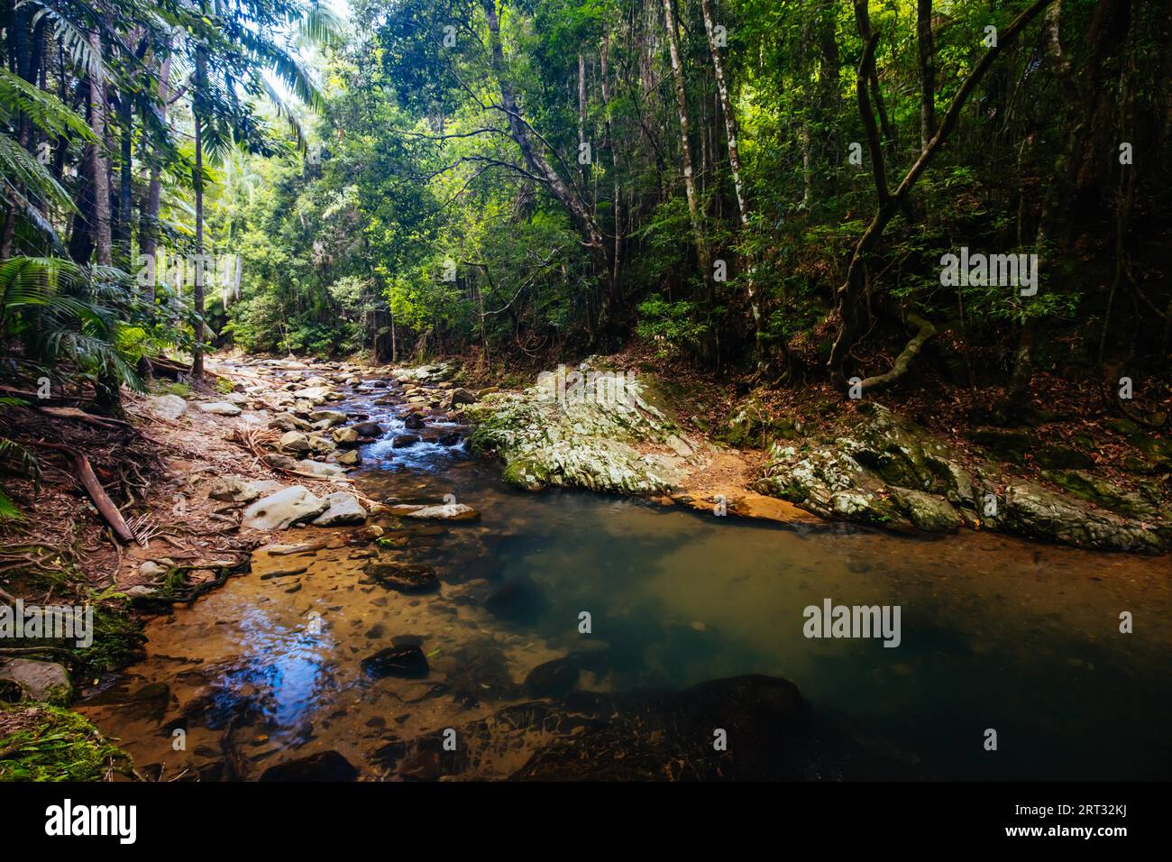 The popular Cougal Cascades Walk in Currumbin near the Gold Coast in ...