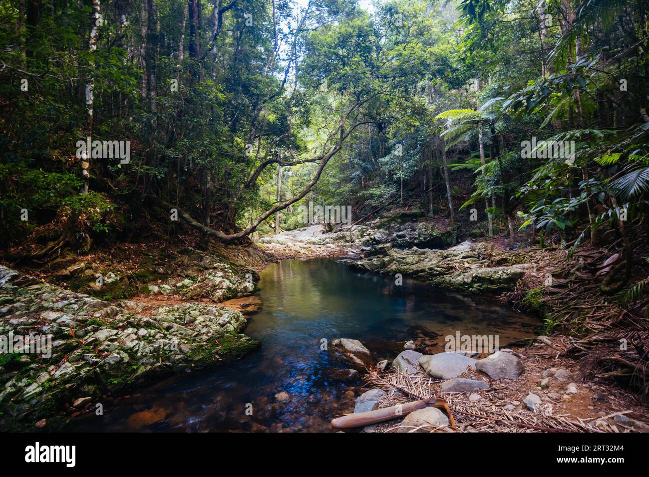 The popular Cougal Cascades Walk in Currumbin near the Gold Coast in ...