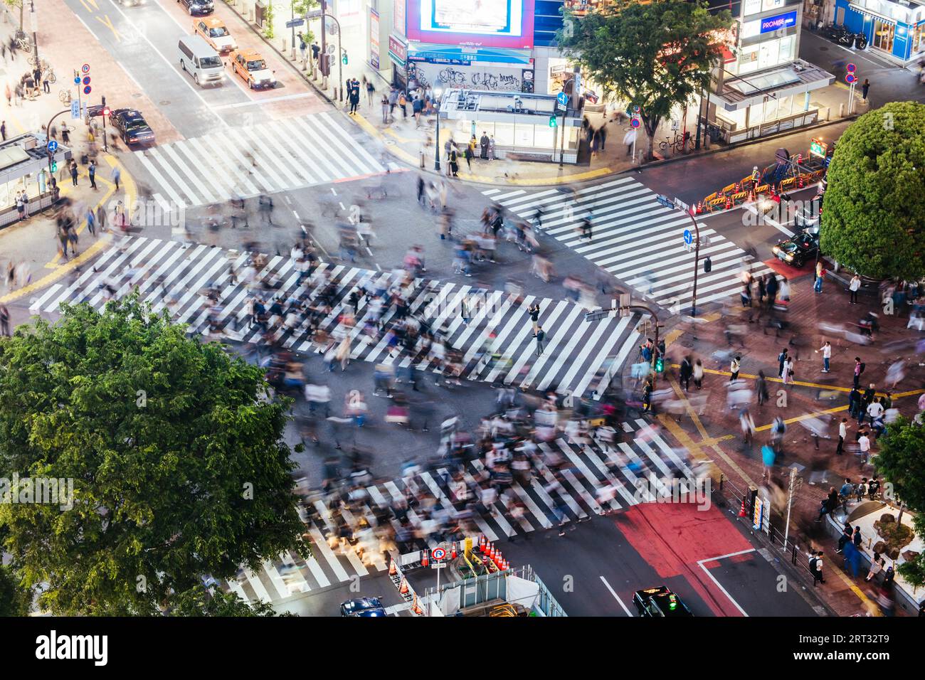 TOKYO, JAPAN, MAY 12, 2019, Night time at Shibuya Crossing which is one ...