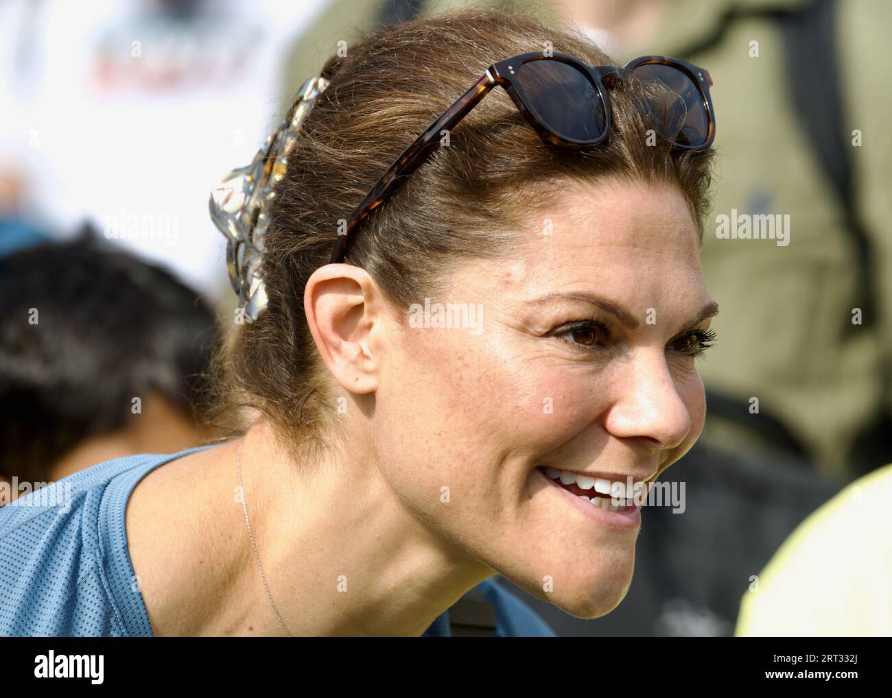 STOCKHOLM, SWEDEN - SEPTEMBER 10, 2023: Prince Daniel and Crown ...