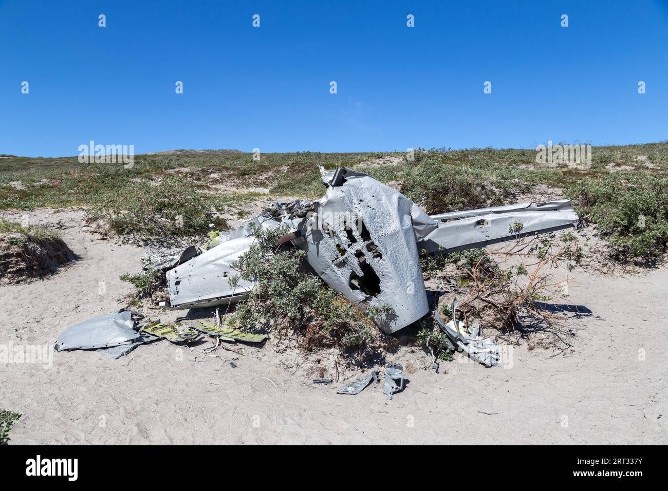 Carl Martin Plane Crash